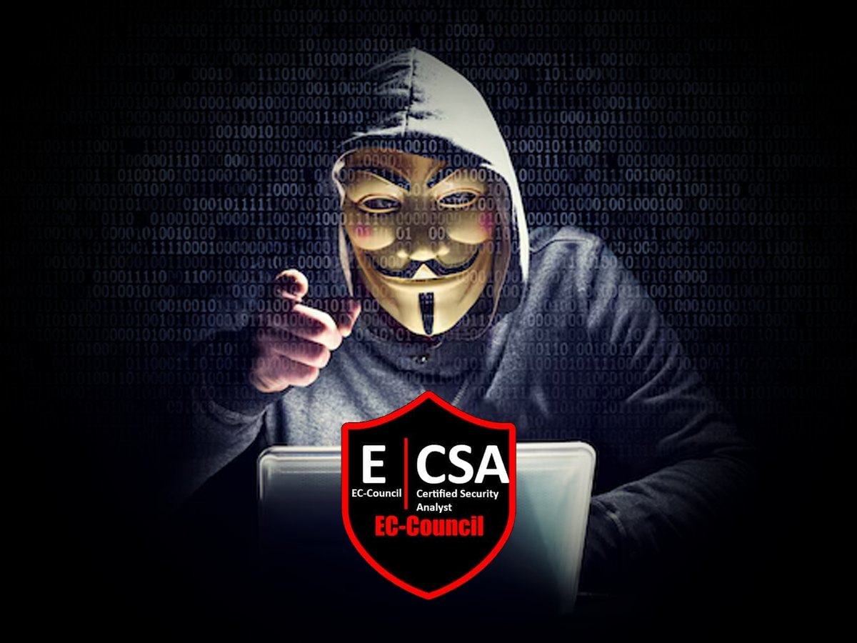 WAHS Training in Pune | Web Application Hacking and Security ...